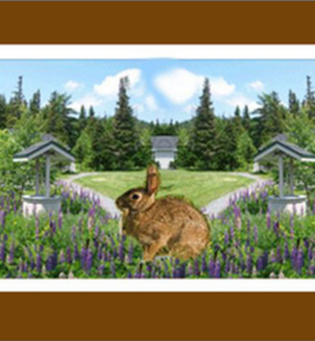 Brown Rabbit Cabins